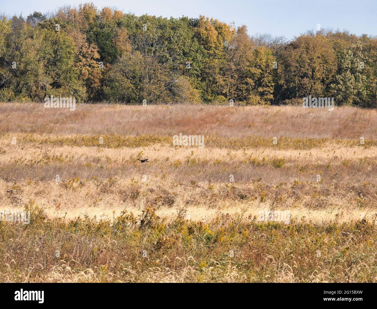 Clouds prairie grasslands hi-res stock photography and images - Alamy