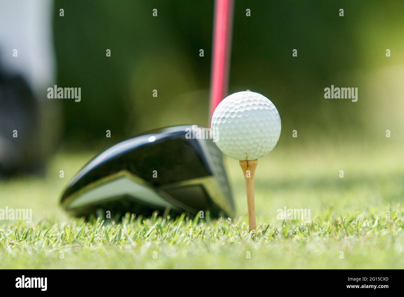 golf ball on a tee Stock Photo - Alamy