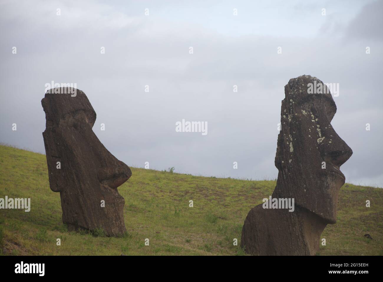 Moais at the quarry on the slope of the Rano Raraku Volcano, Rapa Nui ...