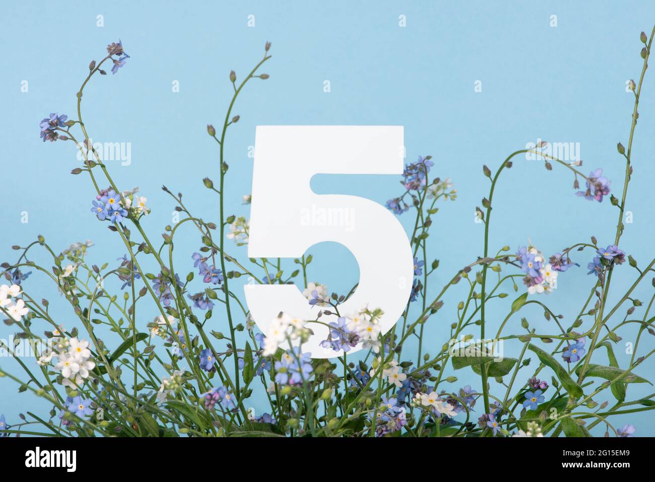 Number five among blue flowers on blue background. Birthday ...
