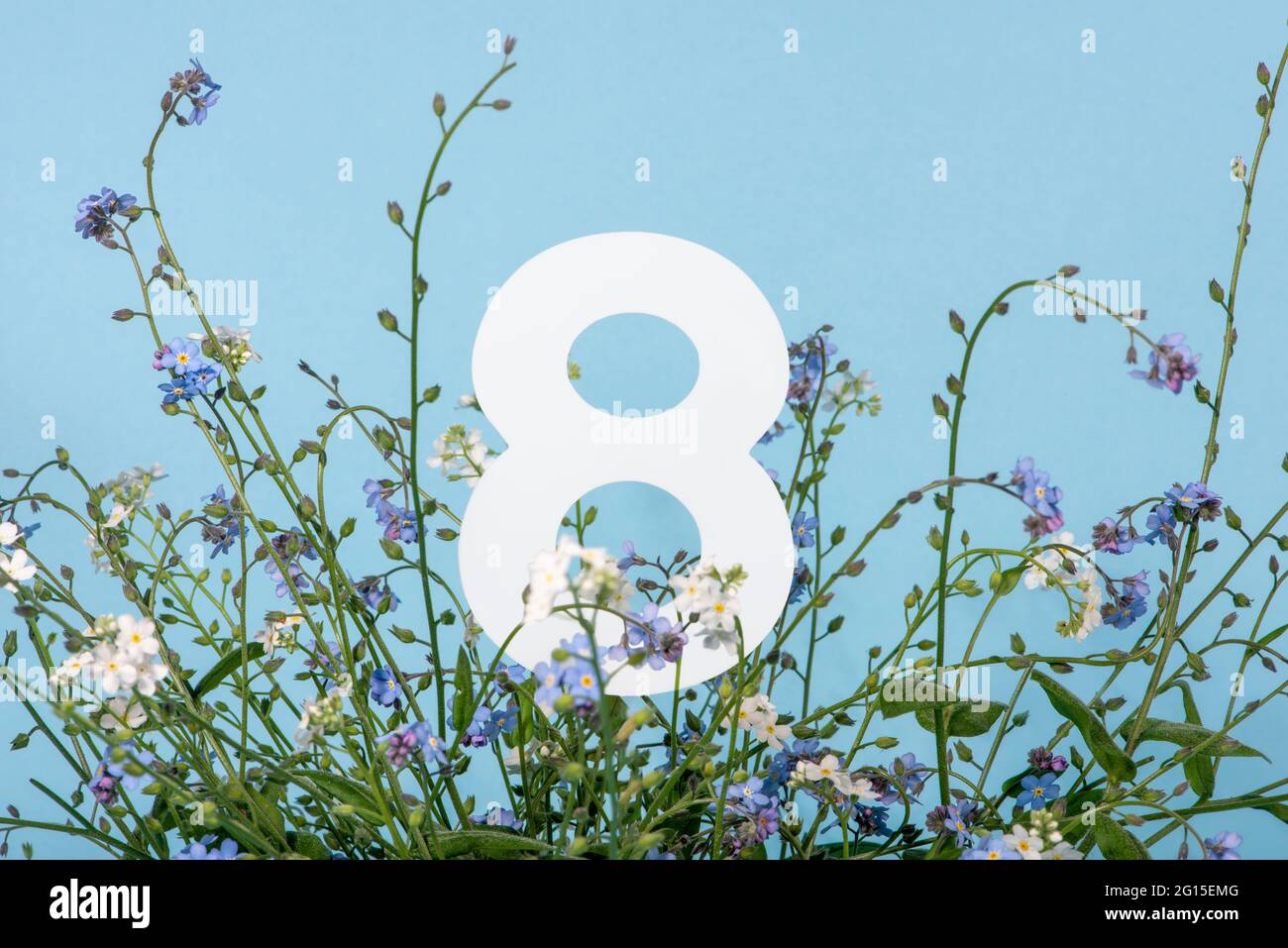 Number eight among blue flowers on blue background. Birthday ...