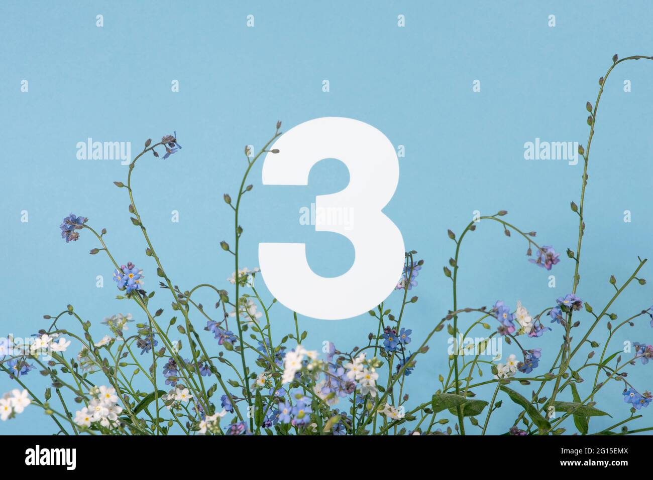 Number three among blue flowers on blue background. Birthday ...