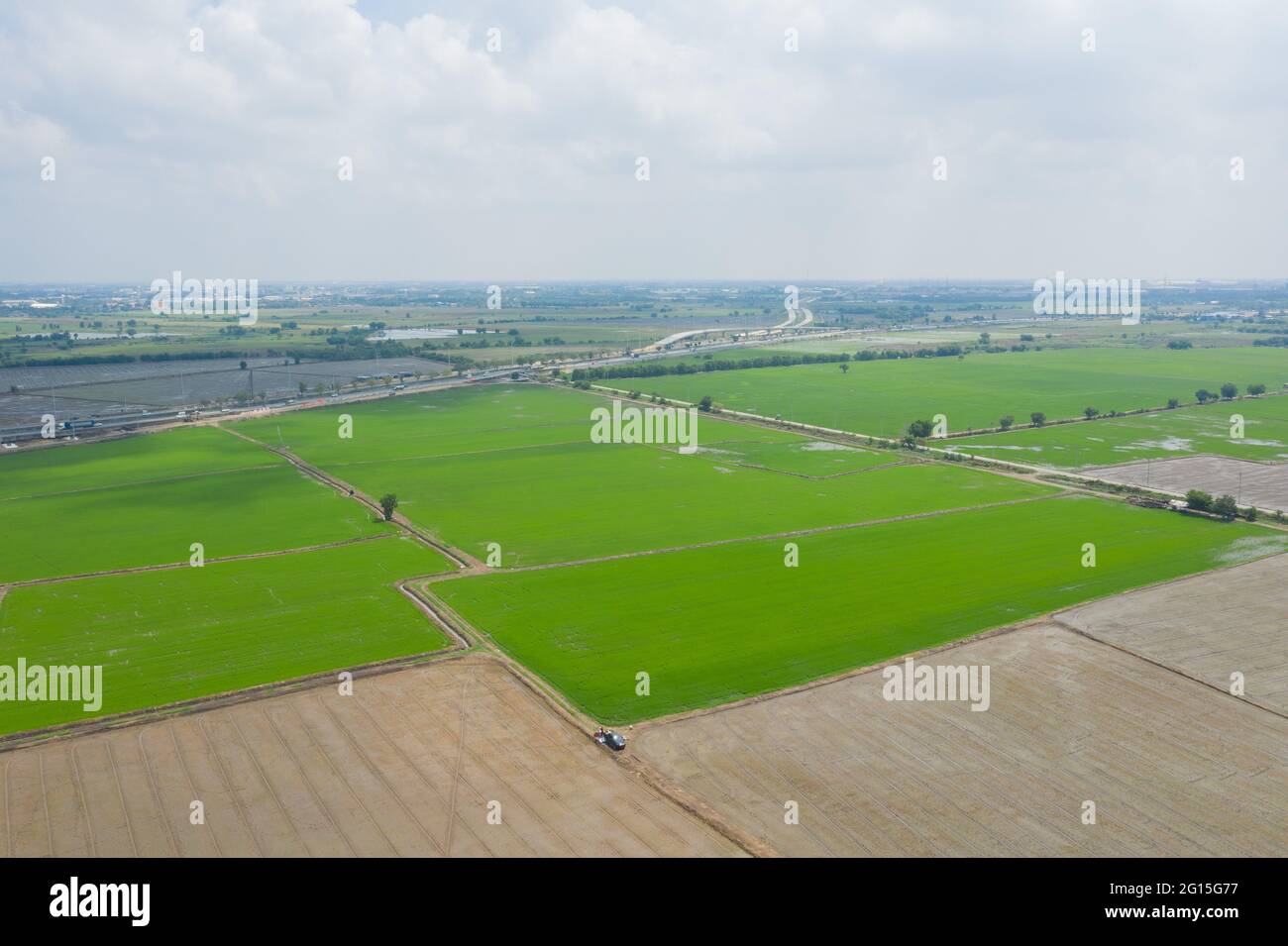 aerial view from flying drone of Field rice with landscape green ...