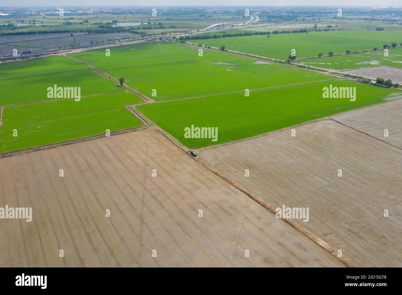 aerial view from flying drone of Field rice with landscape green ...