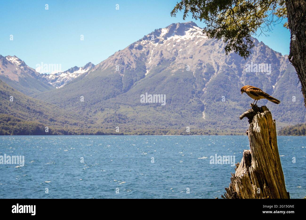 Lake gutierrez hi-res stock photography and images - Alamy