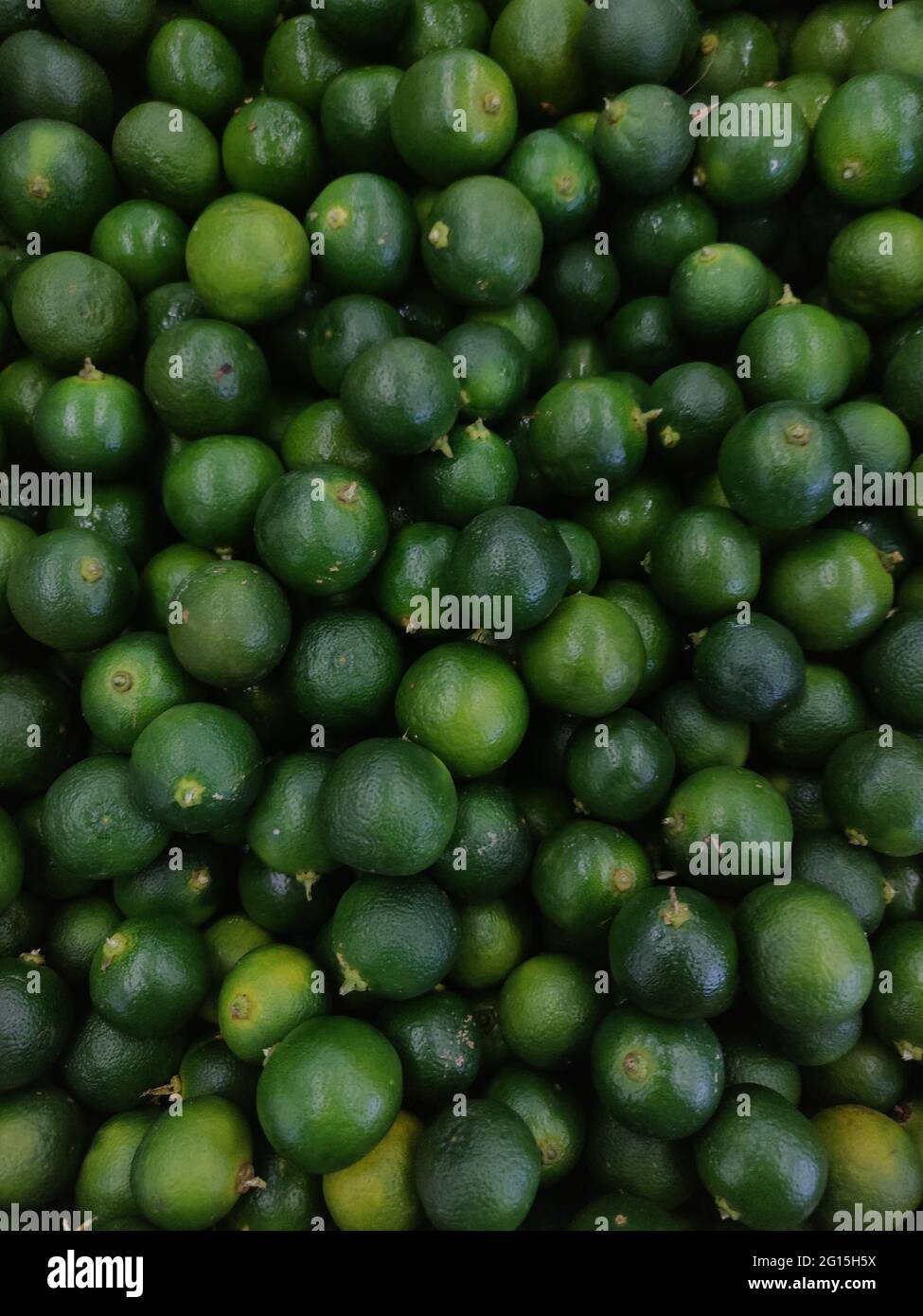 Calamansi also known as calamondin, Philippine lime or lemon. Its ...