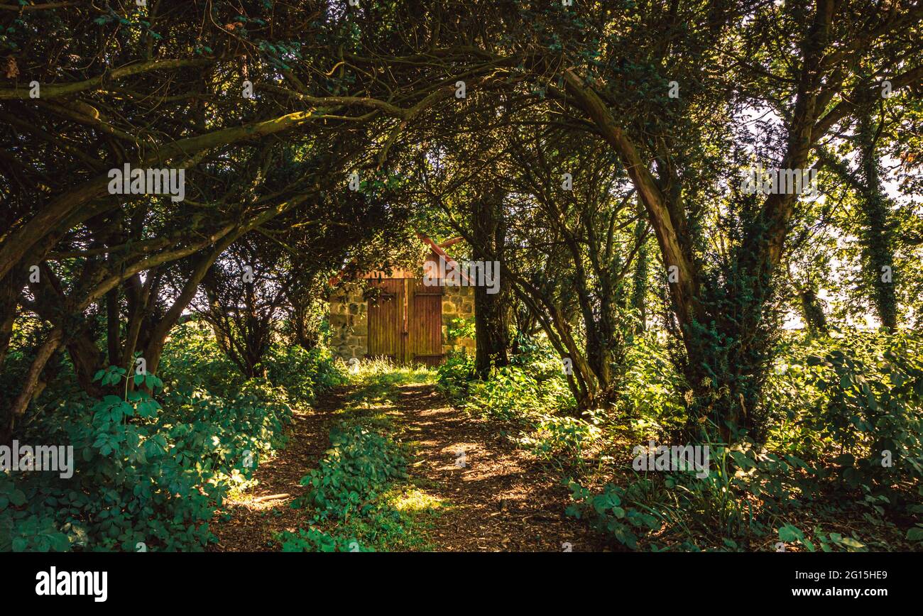 Forest path to a lonely empty cabin in the middle of nowhere without a ...