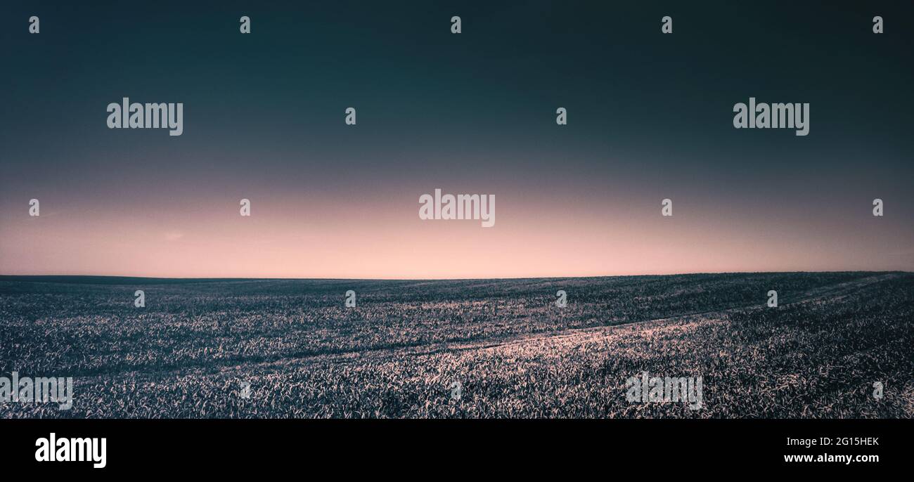 Blumenwiese wiese hintergrund hi-res stock photography and images - Alamy