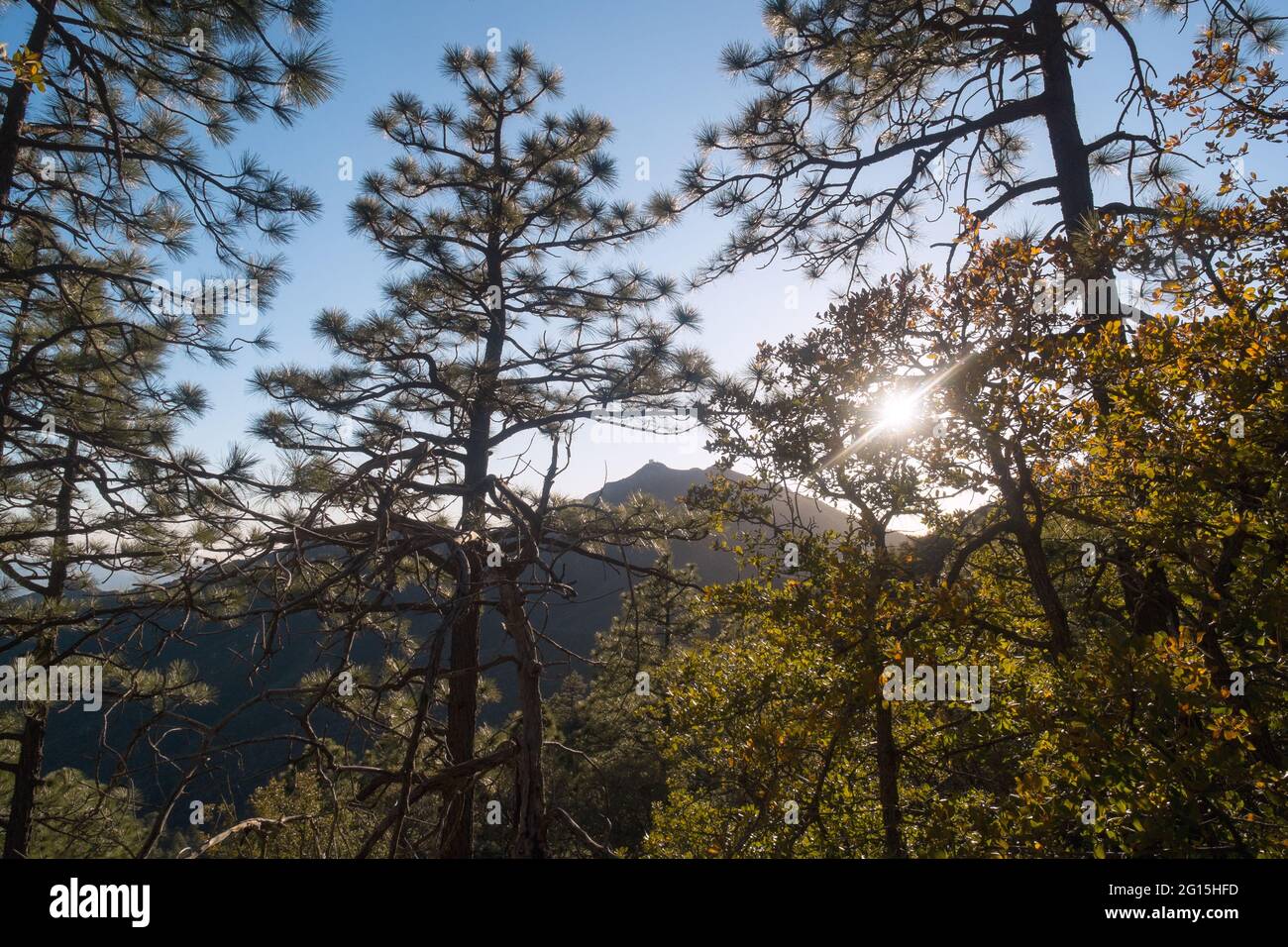 View of MIT's Fred Whipple Observatory on top of Mount Hopkins, near ...
