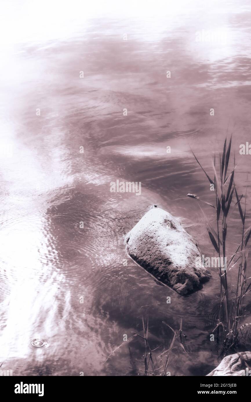 Refraction underwater hi-res stock photography and images - Alamy