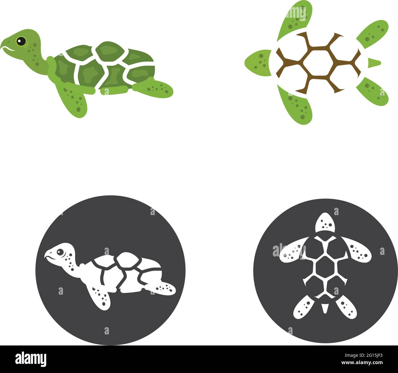 Turtle shell top view Stock Vector Images - Alamy