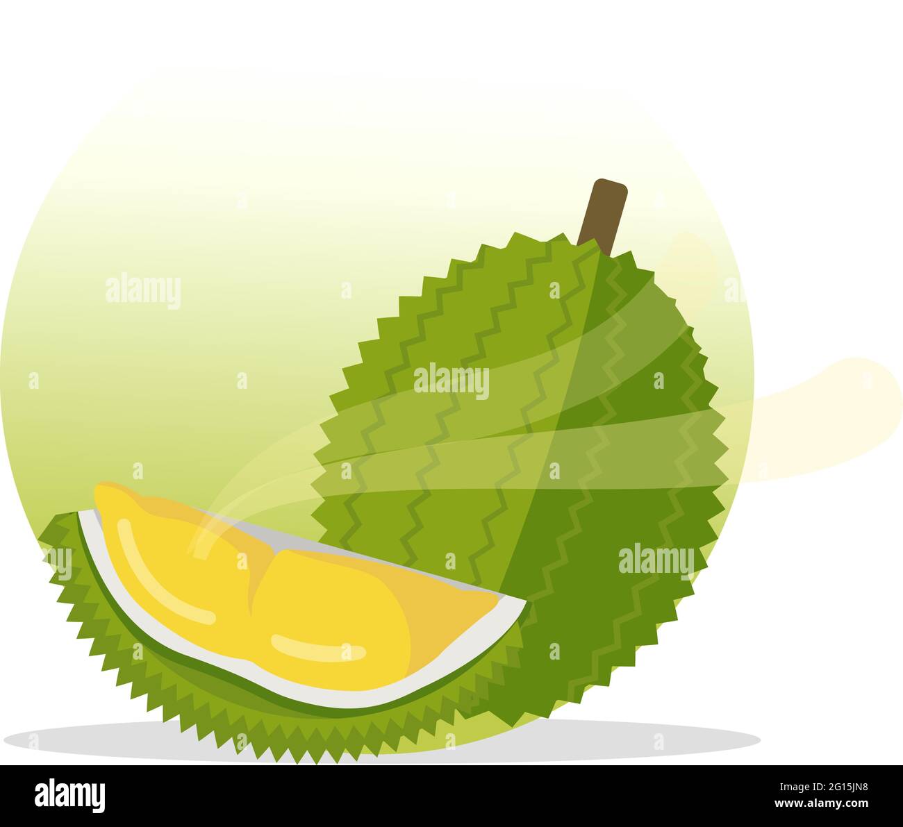 Flat Durian and cut piece vector with Smelly.King of fruit.Fresh ...