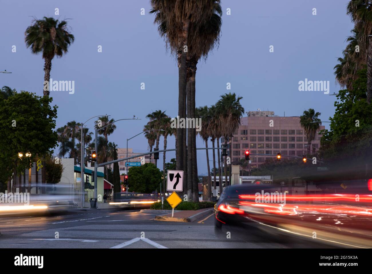 Twilight palm tree framing the skyline of downtown Anaheim, California ...