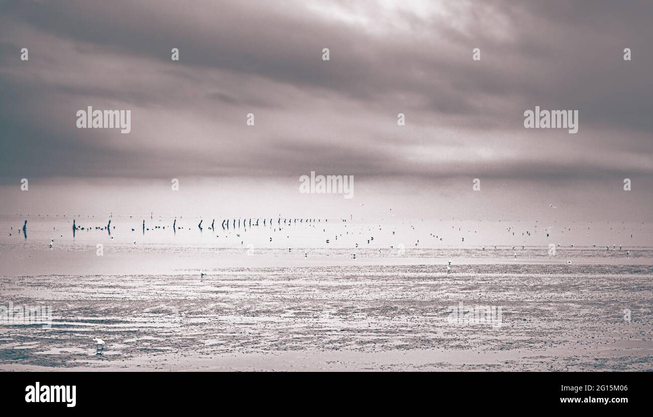 Surrealism Wadden Sea beach of Cuxhaven on the German North Sea coast ...