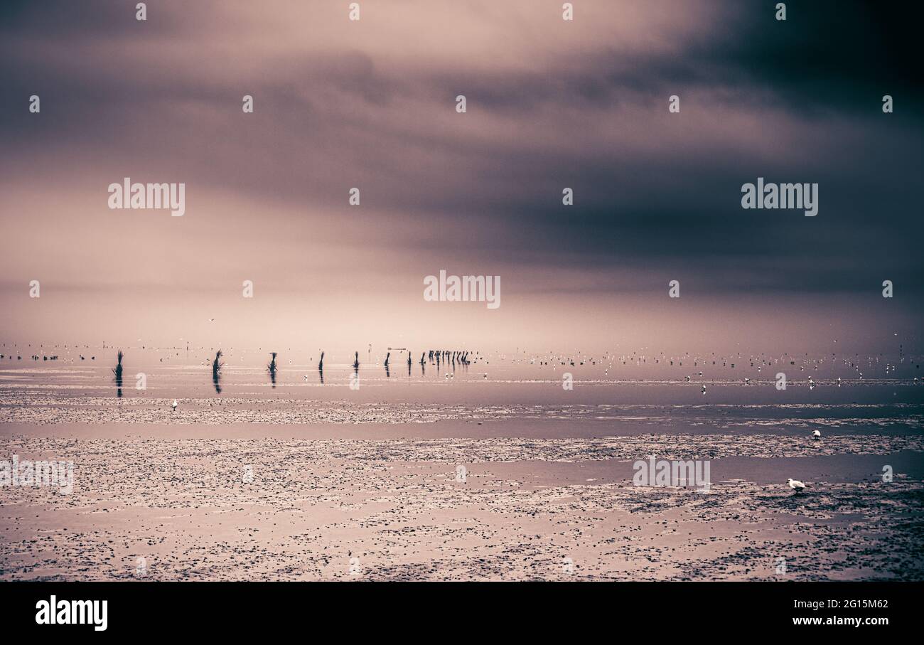 Surrealism Wadden Sea beach of Cuxhaven on the German North Sea coast ...