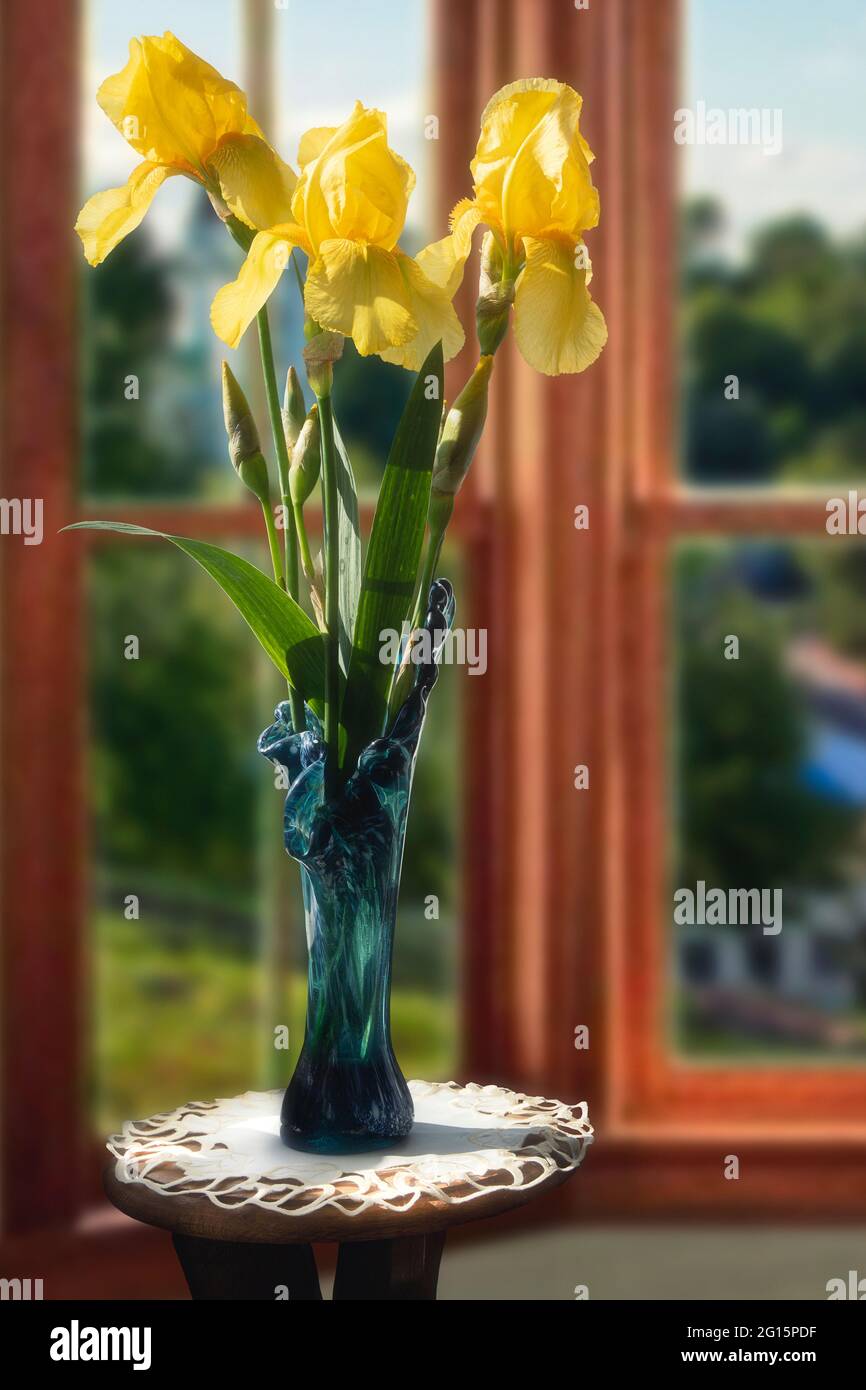 Splendid gift hi-res stock photography and images - Alamy