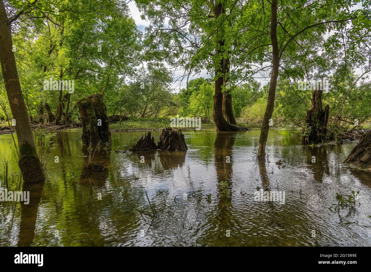 Breathtaking Landscape scenery of the floodlands in the national park ...