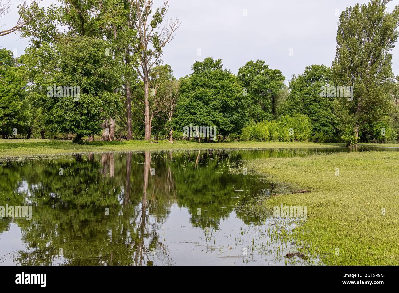 Breathtaking Landscape scenery of the floodlands in the national park ...