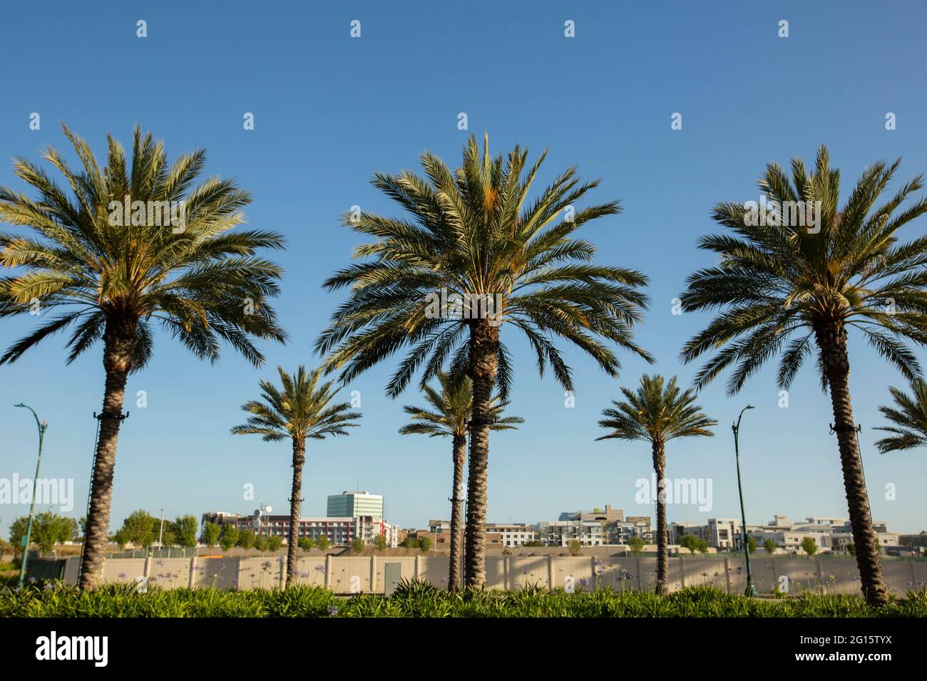 Anaheim skyline hi-res stock photography and images - Alamy
