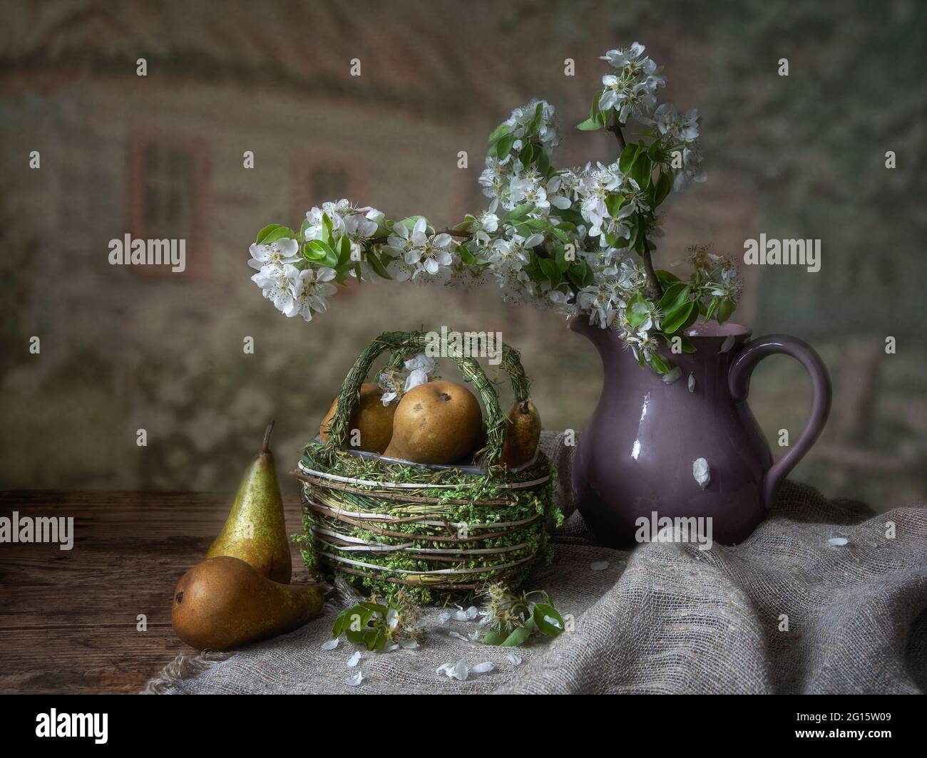 Pears branches hi-res stock photography and images - Alamy