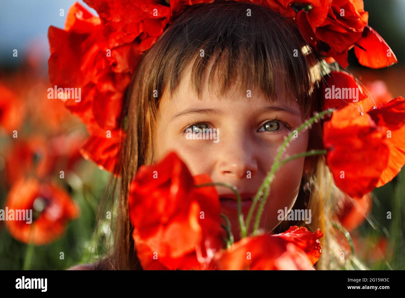 Little girl in a field with poppies Stock Photo - Alamy