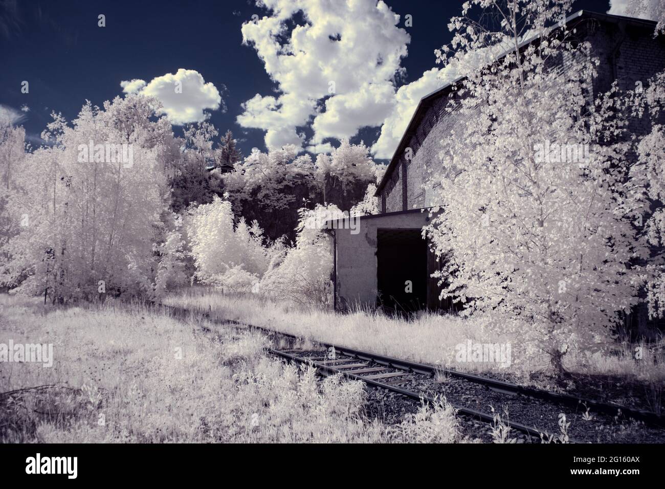 Infrared landscape with glowing white vegetation using 720nm filter ...