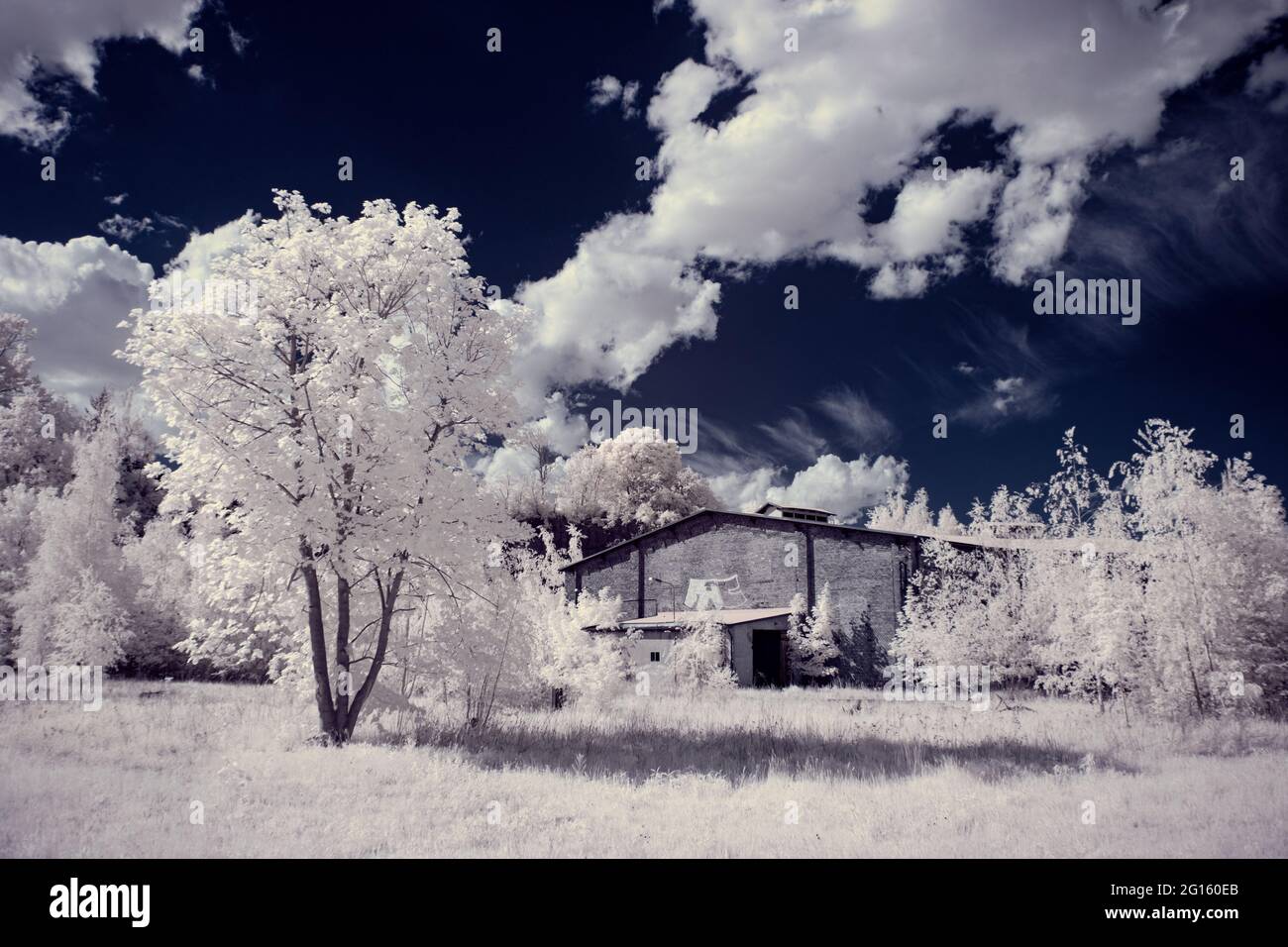 Infrared landscape with glowing white vegetation using 720nm filter ...