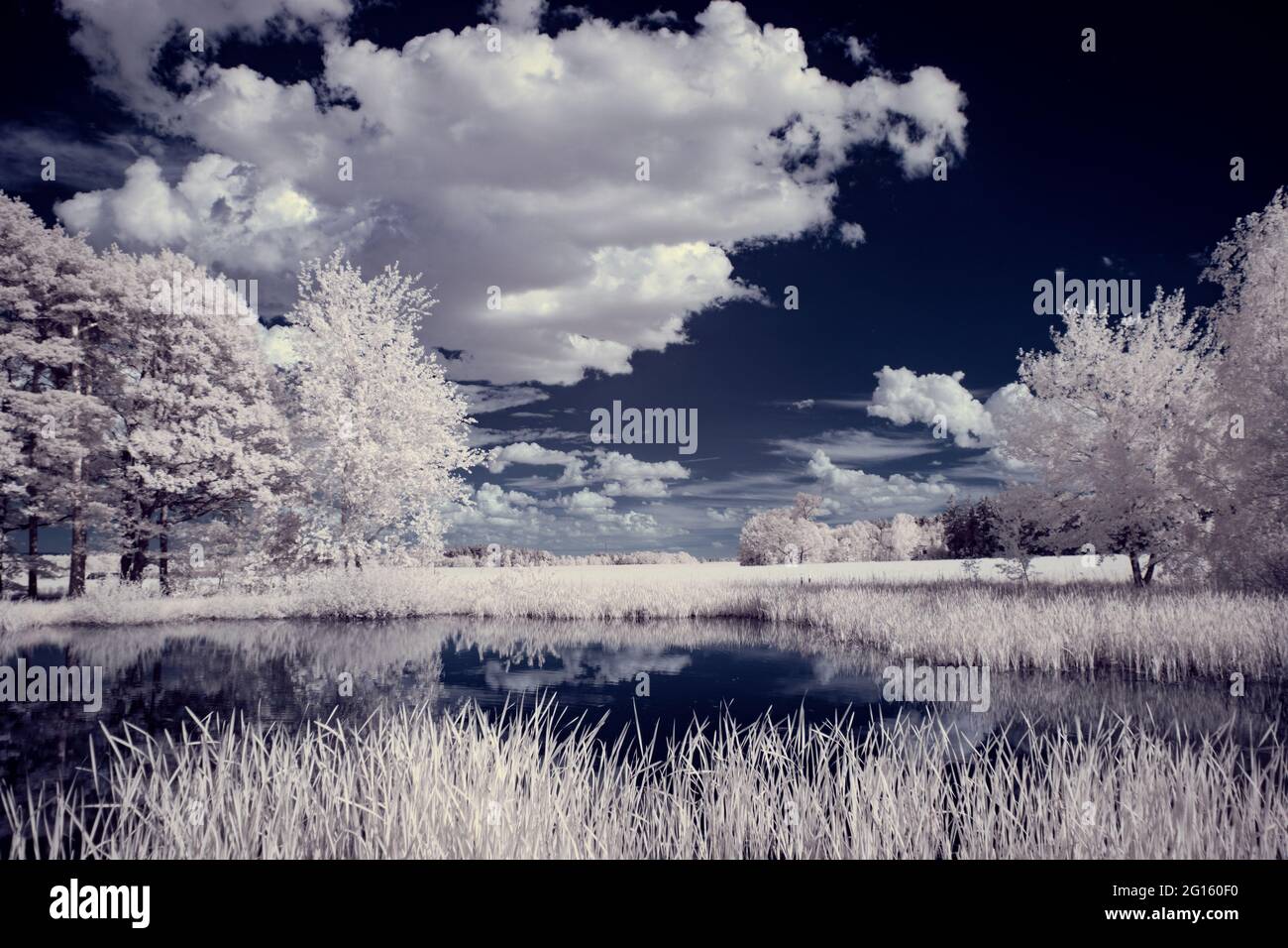 Infrared landscape with glowing white vegetation using 720nm filter ...