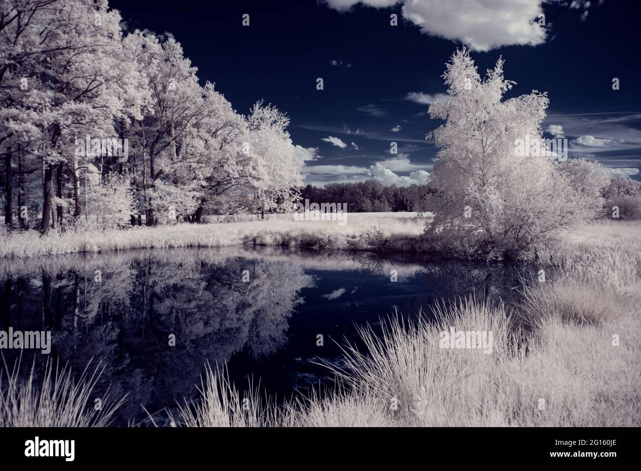 Infrared landscape with glowing white vegetation using 720nm filter ...