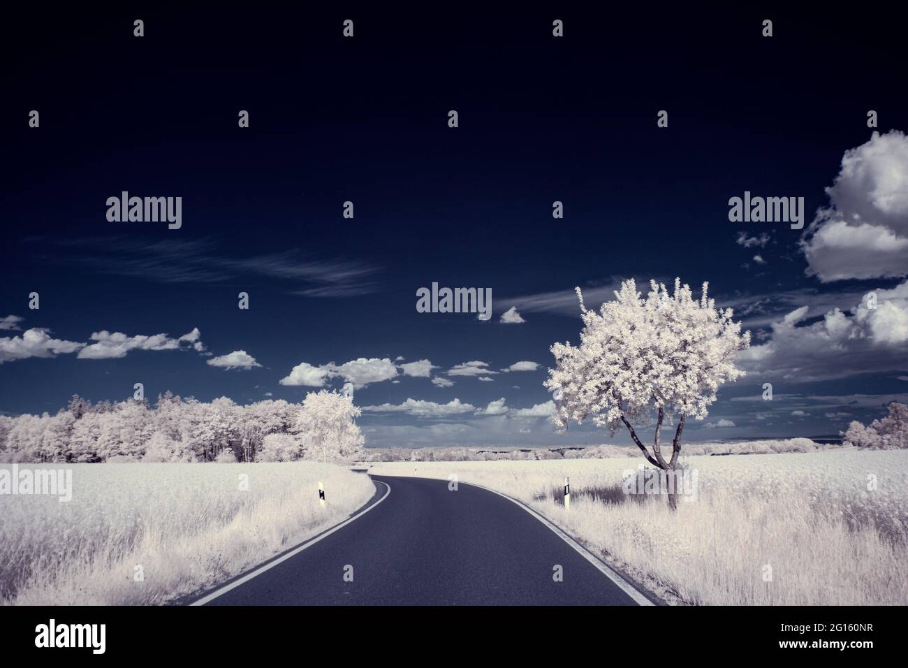 Infrared landscape with glowing white vegetation using 720nm filter ...