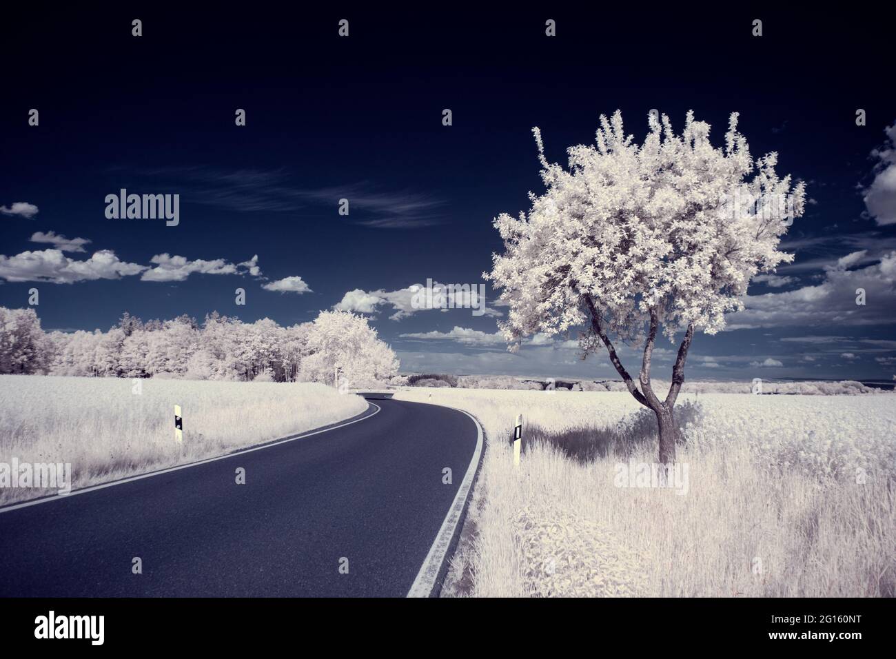Infrared landscape with glowing white vegetation using 720nm filter ...