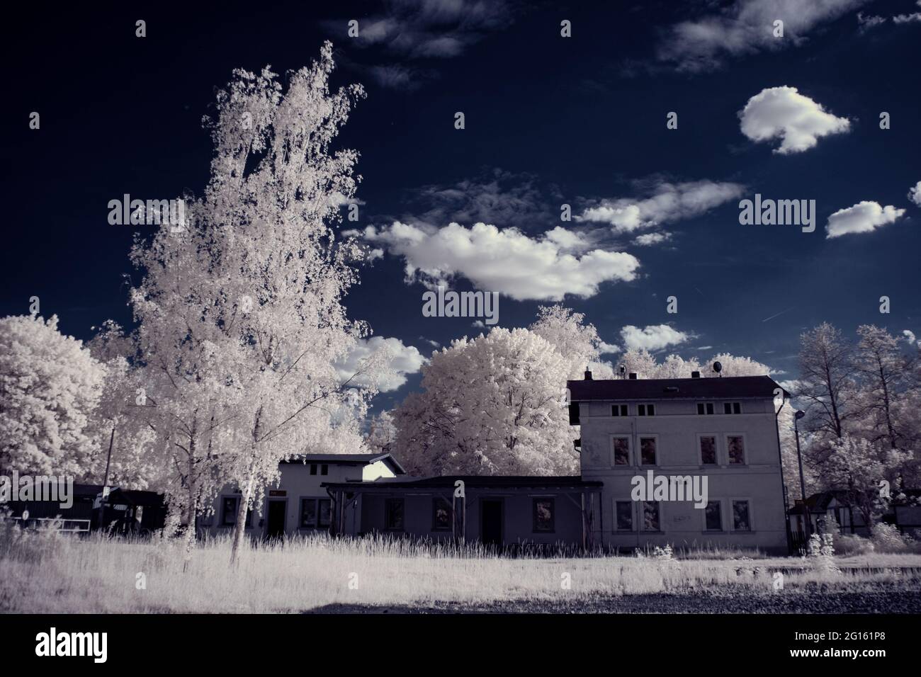 infrared photography - surreal ir photo of landscape with trees under ...