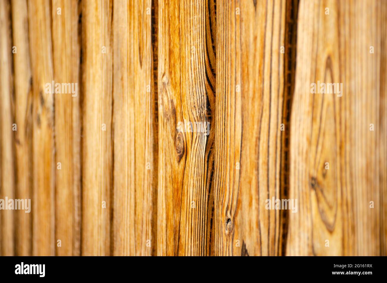 Wood wall or wooden floor in light yellow warm brown wooden texture for ...