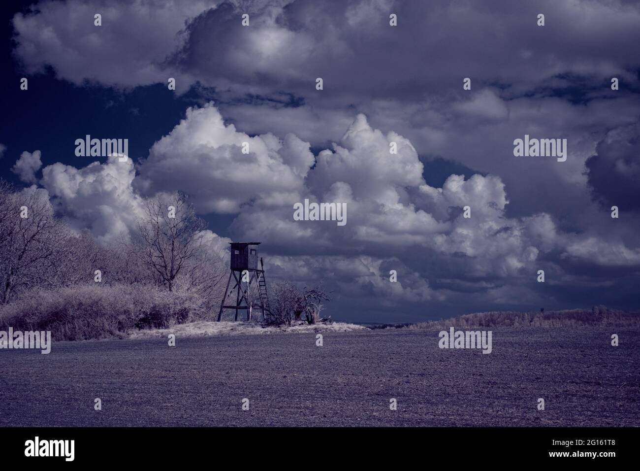 Infrared landscape with glowing white vegetation using 720nm filter ...