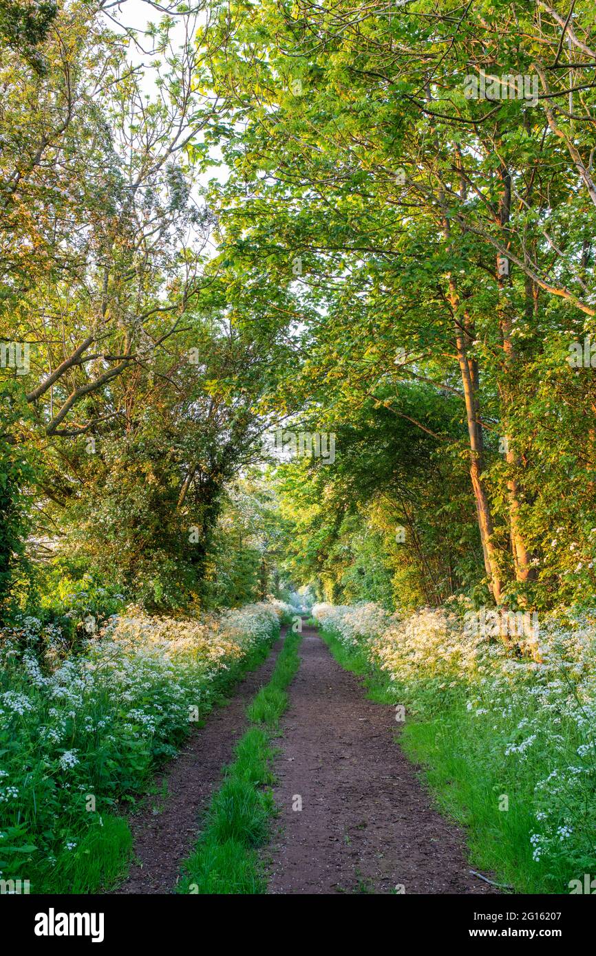 Right pathway hi-res stock photography and images - Alamy