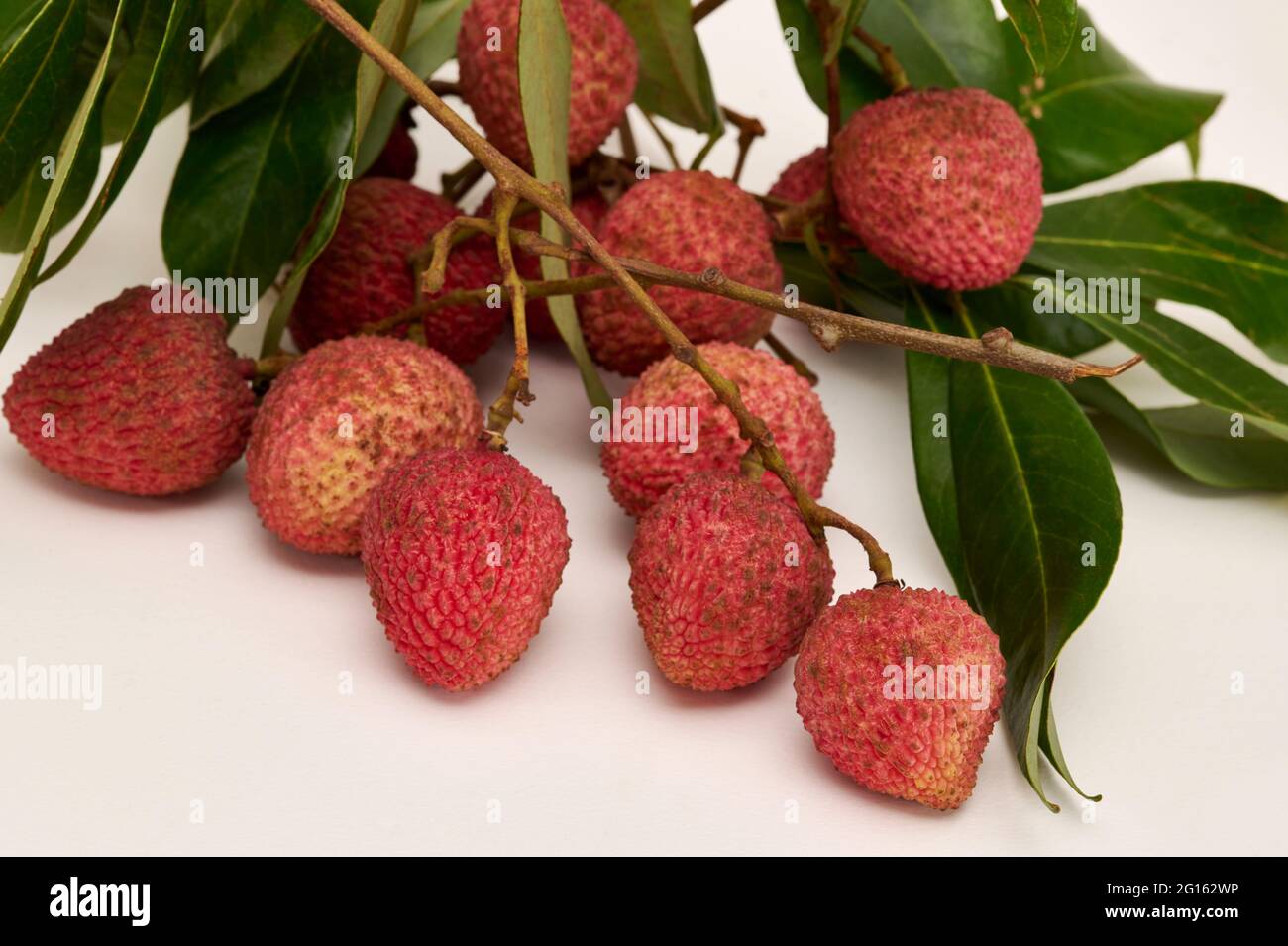 The litchi chinensis is an exotic fruit that hi-res stock photography ...