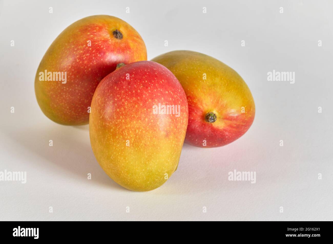 Sindhuri mango hi-res stock photography and images - Alamy