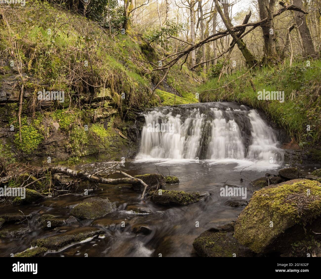 Waterfall at Hall Dale Woods in Derbyshire - Peak District Stock Photo ...