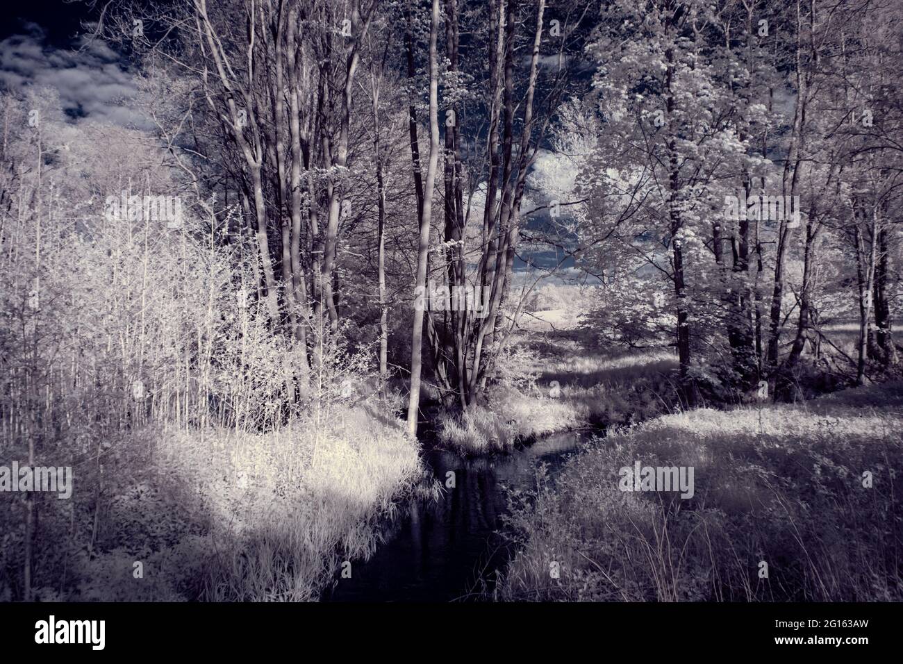 Infrared landscape with glowing white vegetation using 720nm filter ...