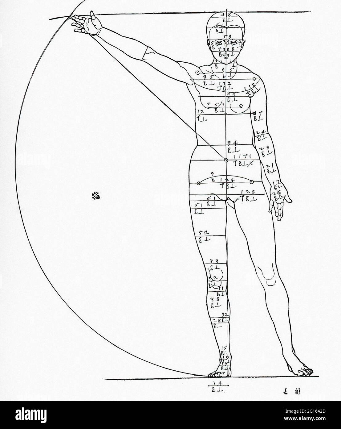Albrecht Dürer - Figure Woman Shown Motion 1528 Stock Photo - Alamy