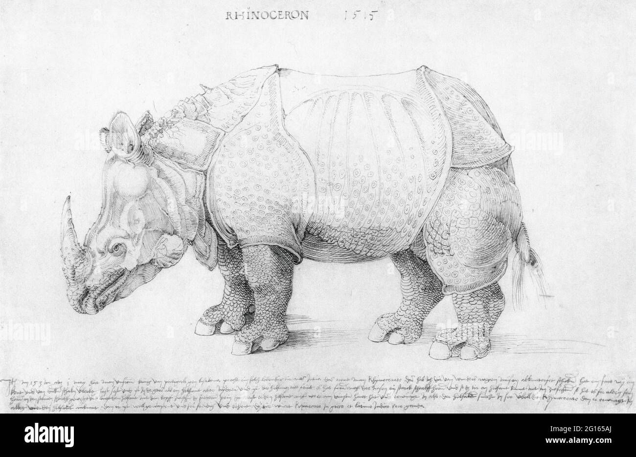 Durer rhinoceros hi-res stock photography and images - Alamy