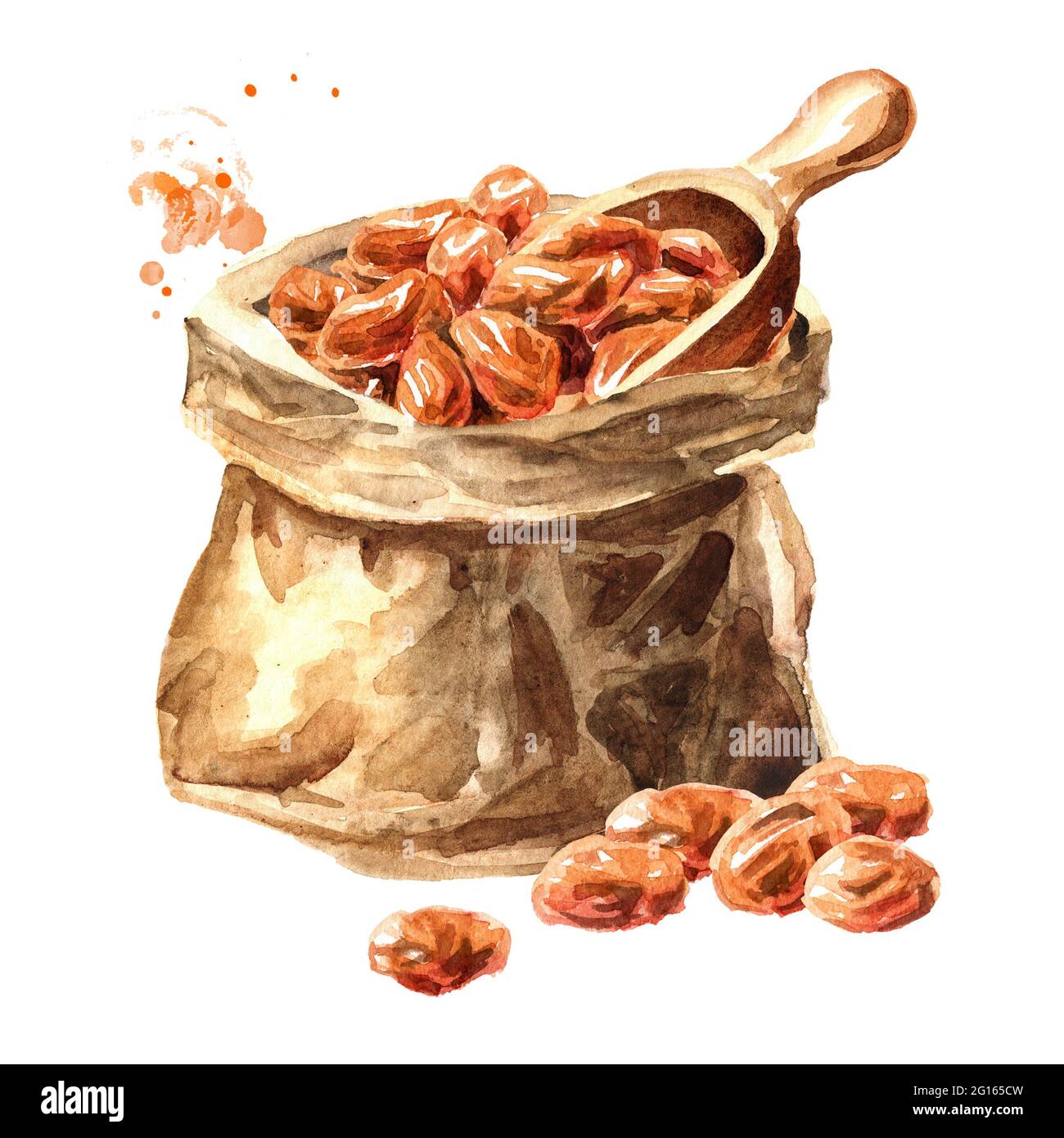 Dried sweet red raisins in the paper sack. Hand drawn watercolor ...