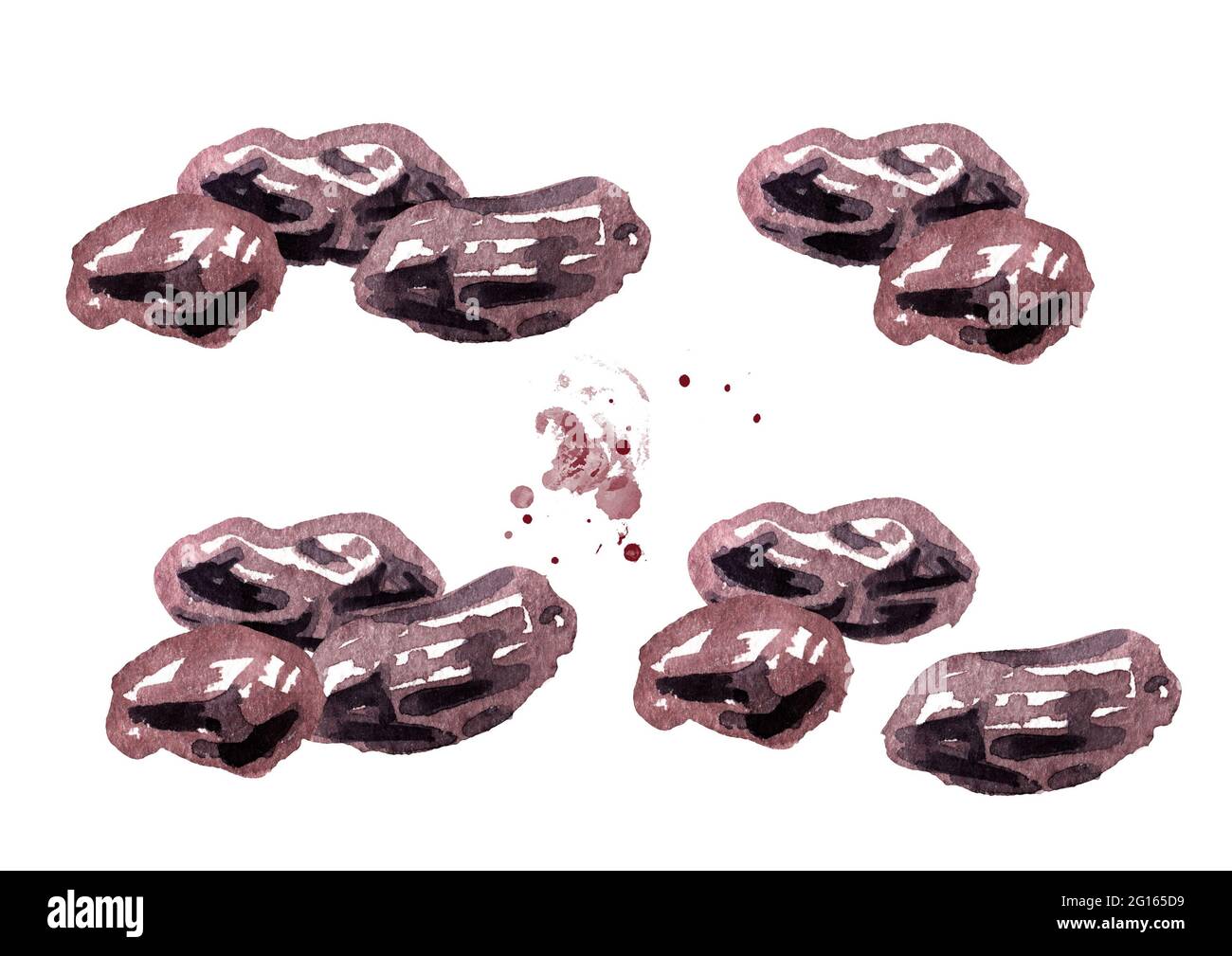 Dried dark raisins set. Hand drawn watercolor illustration isolated on ...