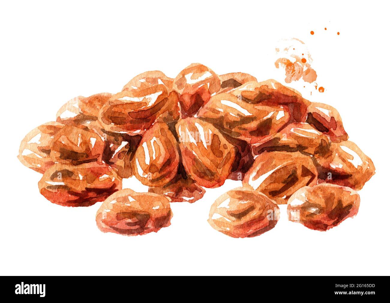 Heap of dried sweet red raisins. Hand drawn watercolor illustration ...