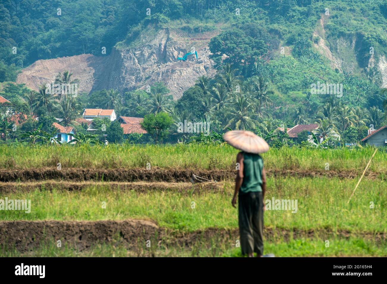Bogor, Indonesia. 5th June, 2021. A farmer walks in a paddy field with ...