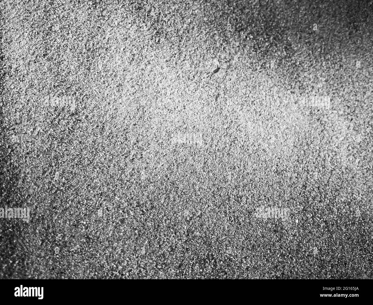 Green Leaves, Beautiful Flowers, Foliage and green Nature Isolated ...