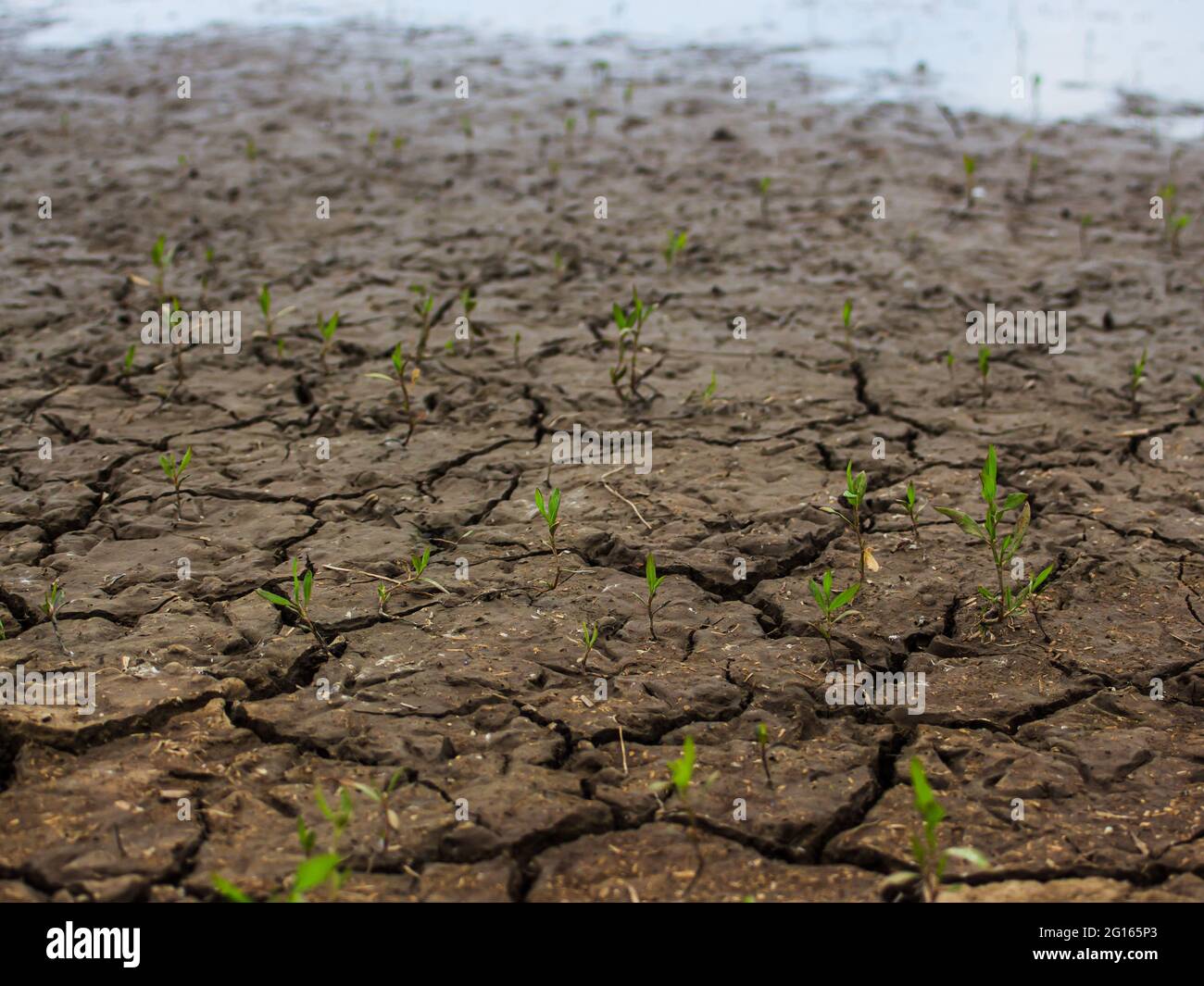 Arid farm land hi-res stock photography and images - Alamy