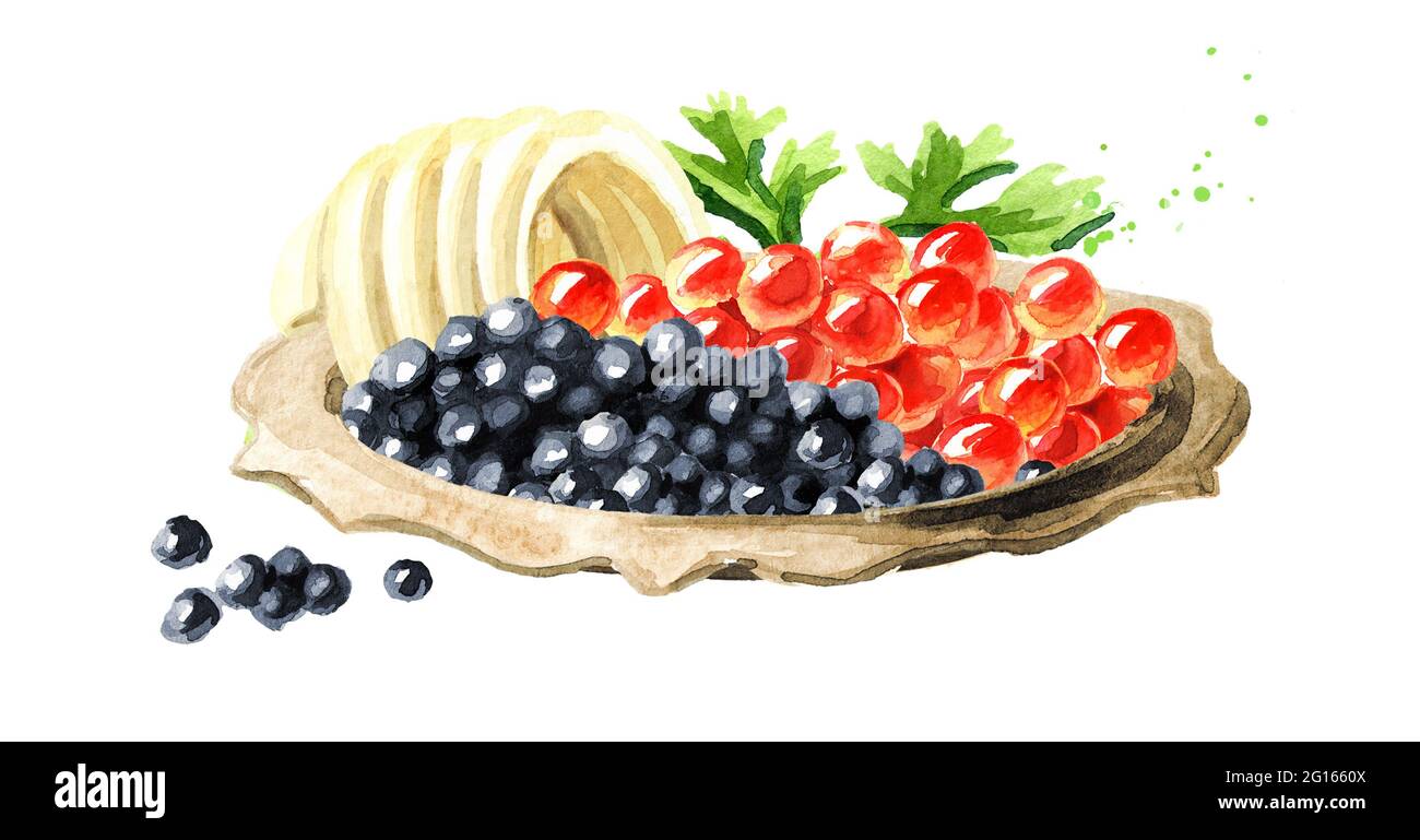 Black and red caviar on the plate. Watercolor hand drawn illustration ...