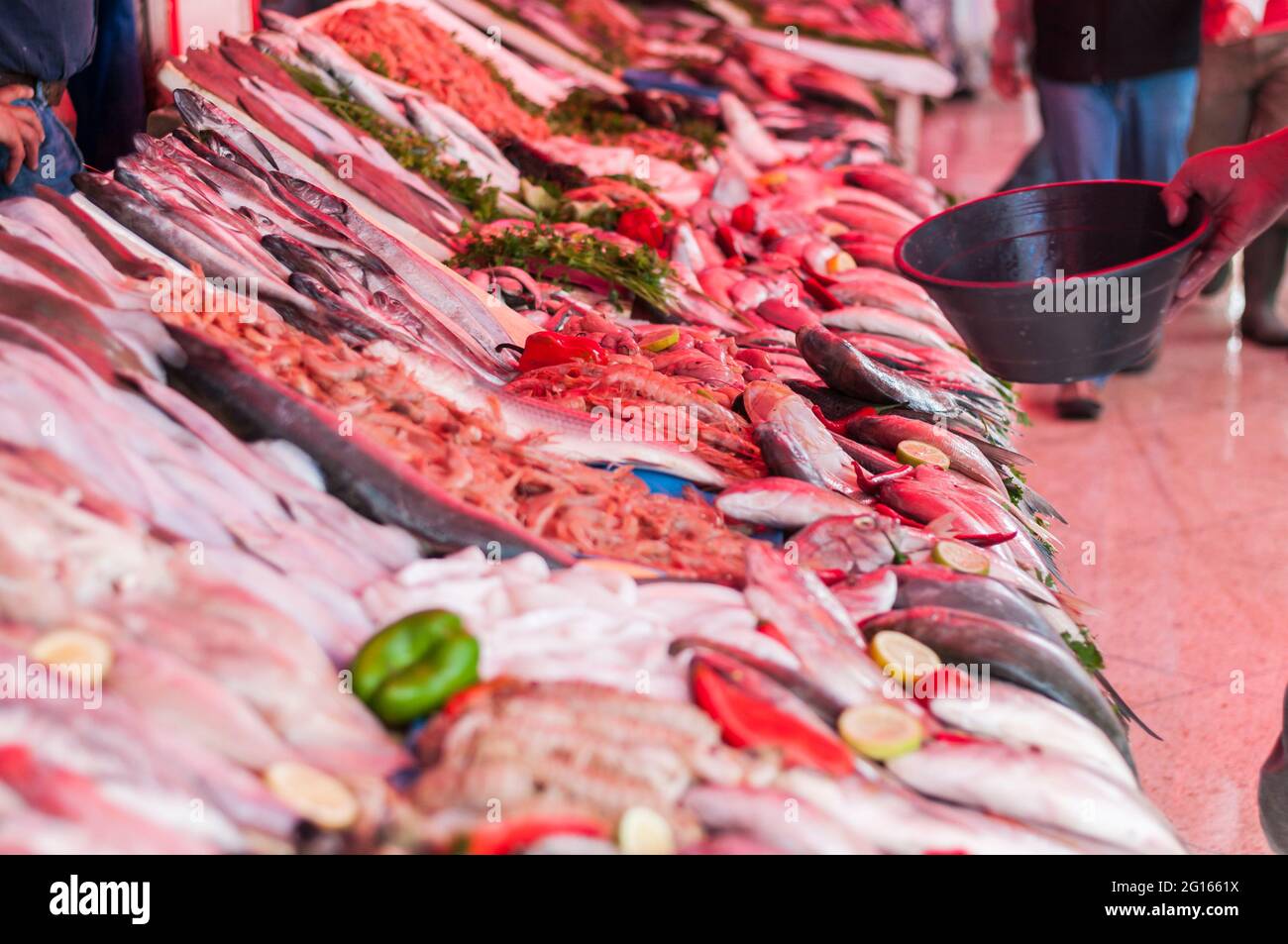 Market stall with fresh fish and seafood Stock Photo - Alamy