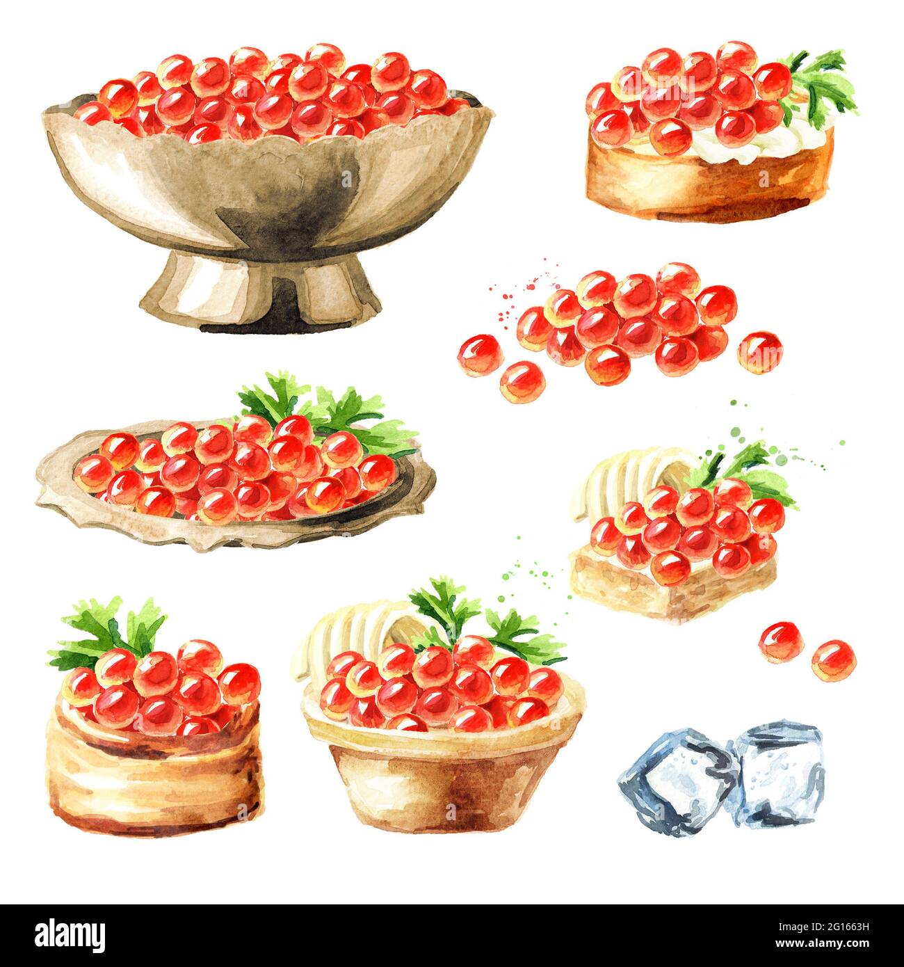 Red caviar set. Watercolor hand drawn illustration isolated on white ...